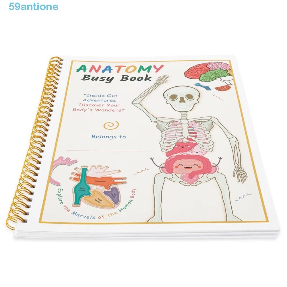 ANTIONE Human Organ Match Quiet Book, Interactive Paper Human Anatomy ...