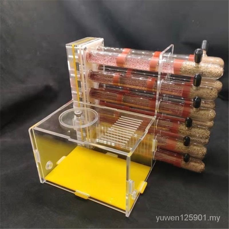 12 Test Tube Ant Nest Ant Nest Ant Workshop Acrylic Ant Nest Ant Castle ... 12 Test Tube Ant Nest Ant Nest Ant Workshop Acrylic Ant Nest Ant Castle ...