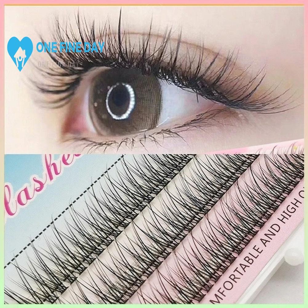 Fishtail Eyelash Extensions Segmented Cross-swallowtail Segmented ...