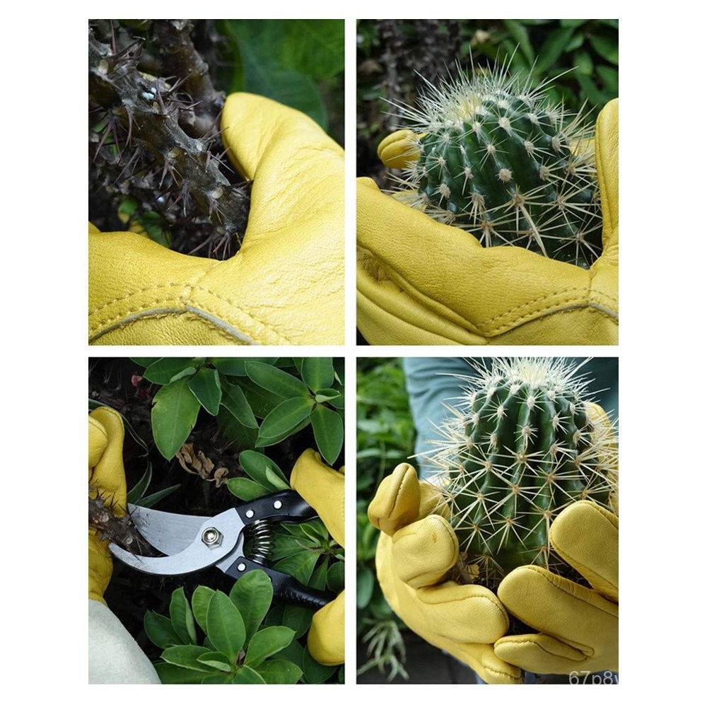 Sarung Tangan Memetik Lada Berkebun Panjang Jepun Artifak Khas Anti ...