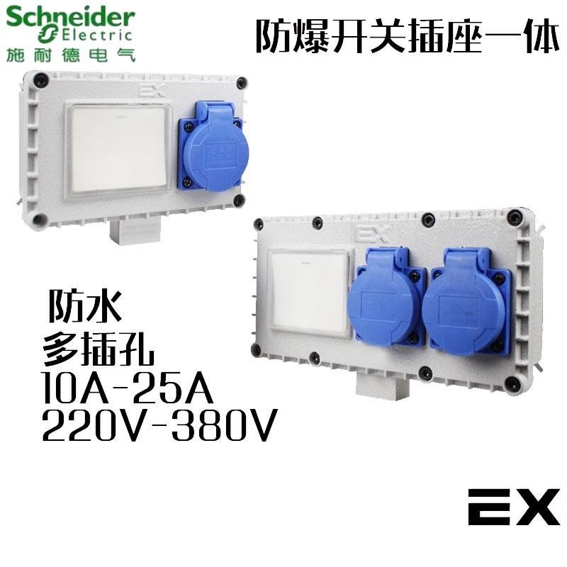 Schneider EX Explosion-Proof Switch Socket Integrated Waterproof ...