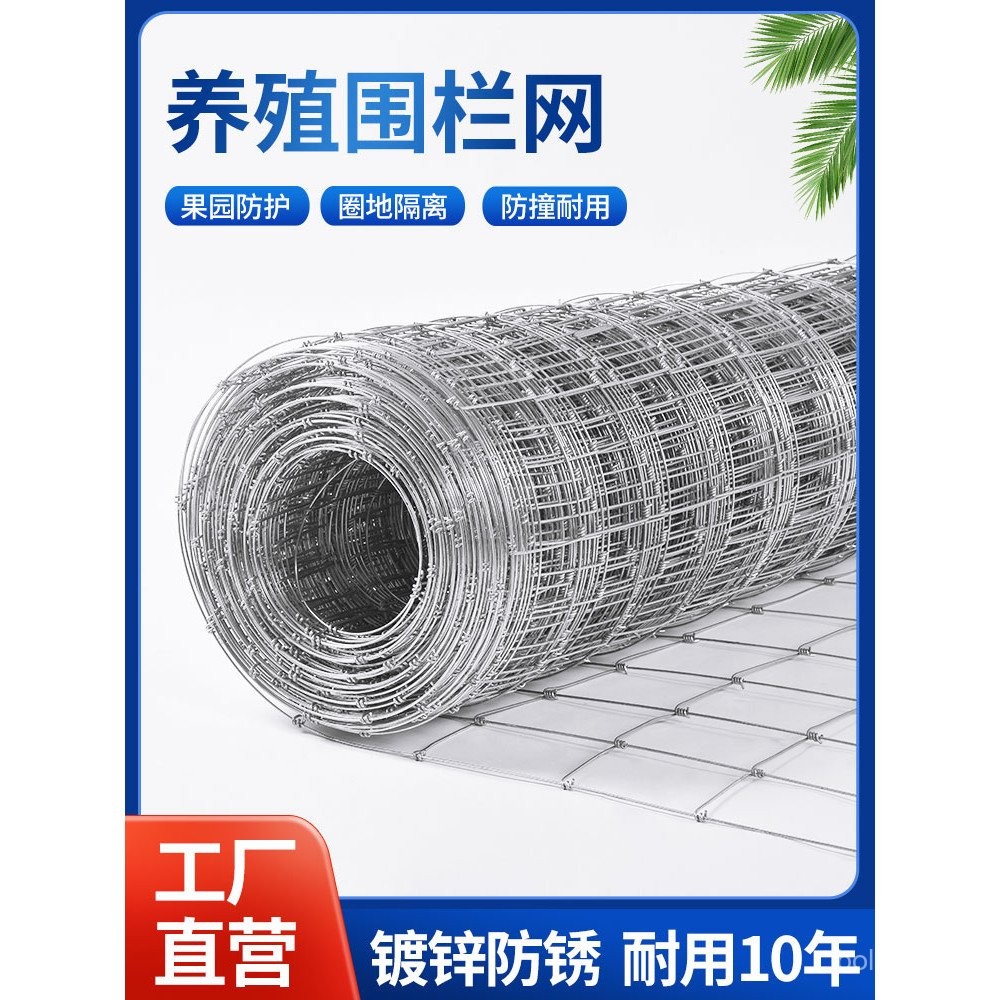 Anti-rust Fence Net Hot Galvanized Barbed Wire Net Stop Beef Sheep Ring ...
