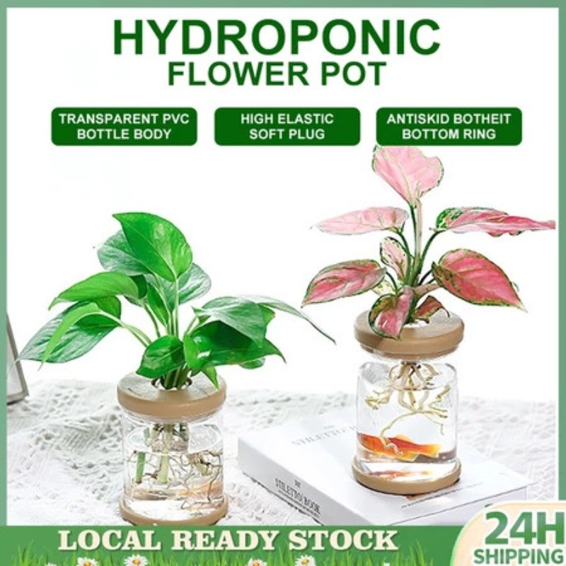 Transparent Hydroponic Pot Automatic Water Absorption Planter For ...