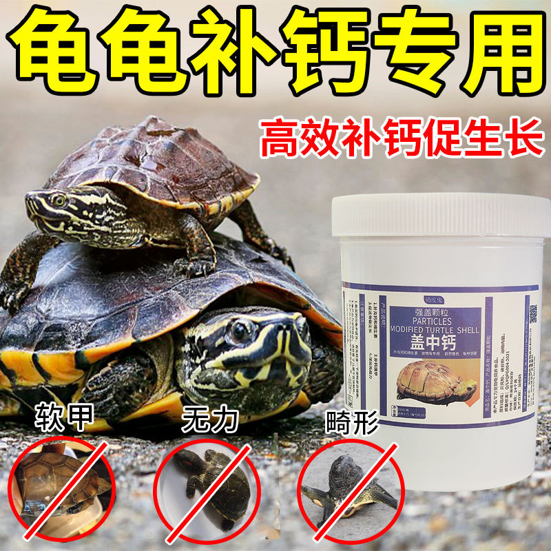 Turtle Shelling Appetite Do Not Vibrate Do Not Vibrate Calcium ...