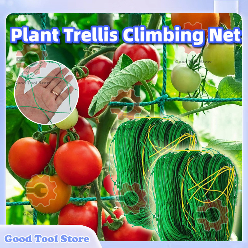 Plant Trellis Netting Climbing Net Plant Support Flower Planting ...