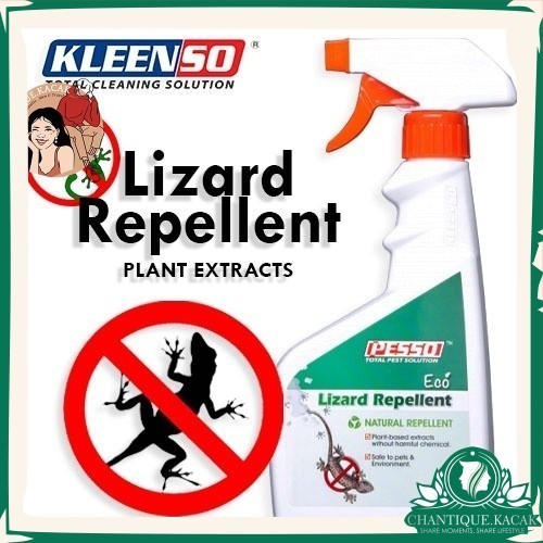 500ML Kleenso Pesso Eco Lizard Liquid Spray Plant-based Natural Not ...