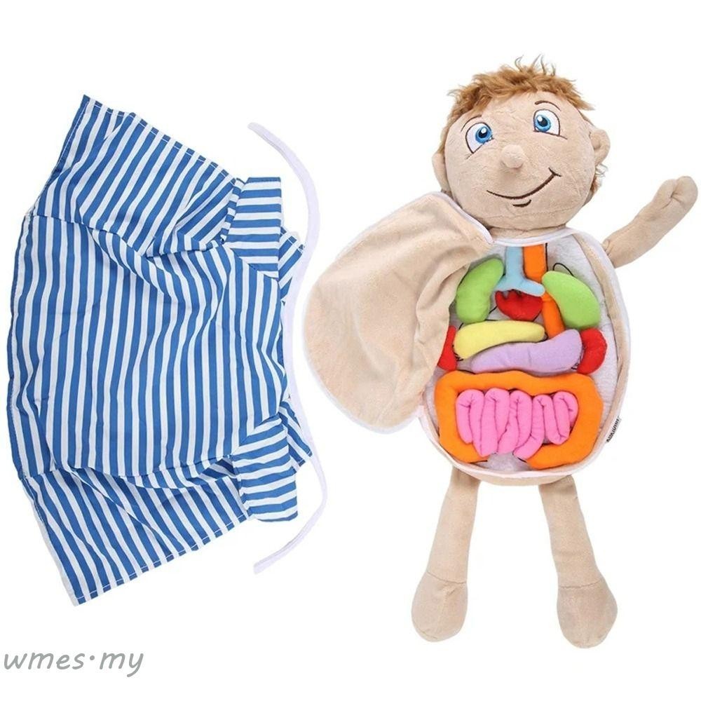 WMES1 Plush Body Organs, Learning Organ 3D Puzzle Anatomy Plush Toy ...