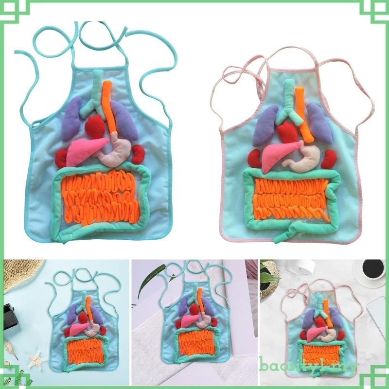 [BaositybfMY] 3D Organ Apron, Kids Learning Apron, Preschool Awareness ...