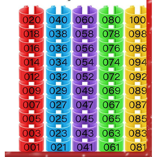50 Pcs Chicken Ankle Tags Bird Leg Rings Farm Anklet Thighs Poultry ...