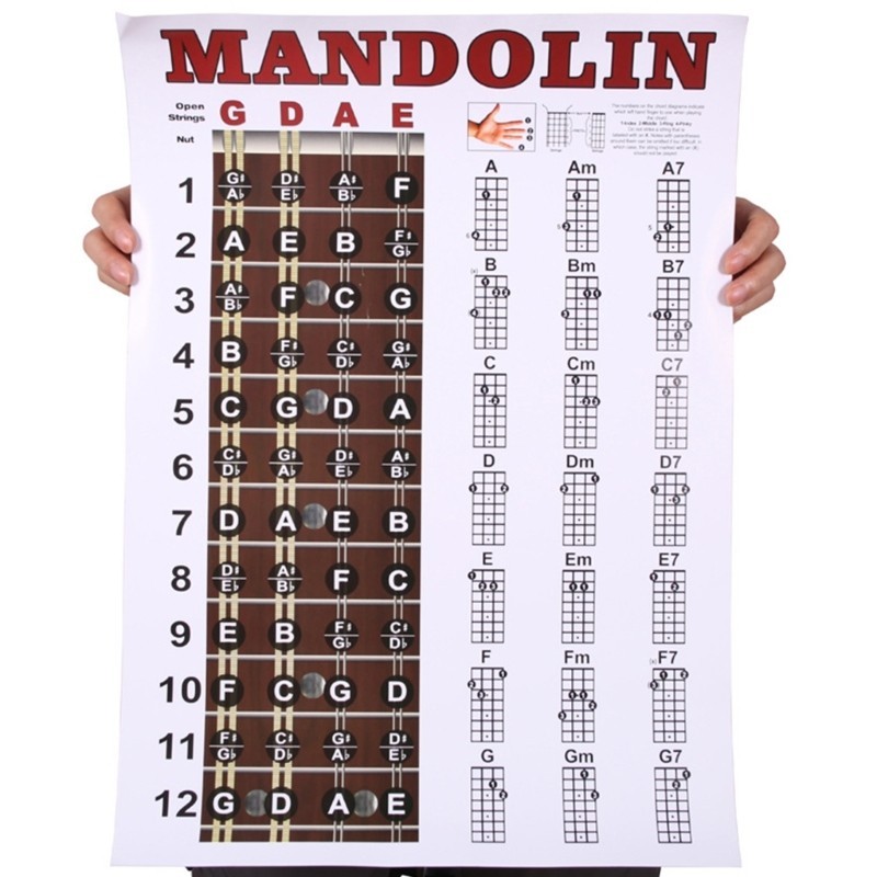 love* Mandolin Chord Chart Poster Instructional Poster Mandolin ...
