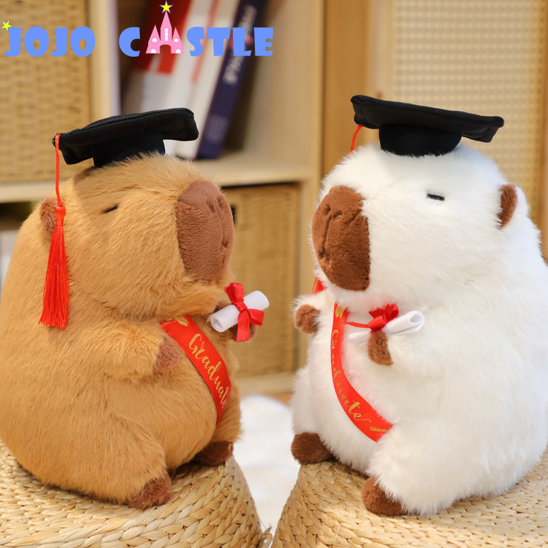 JOJO CASTLE 25cm Doctor Capybara Doll Plush Toy Graduated Cartoon ...