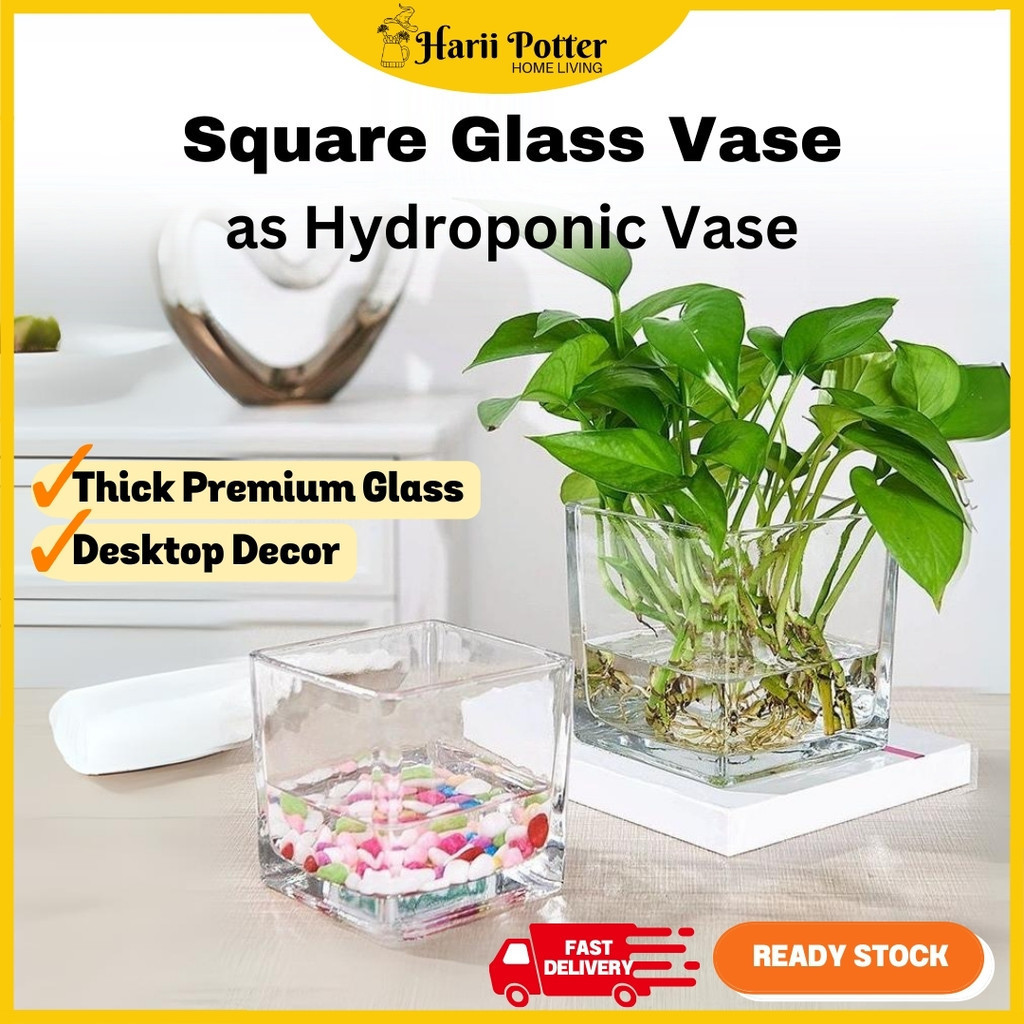 Hydroponic Clear Transparent Mini Square Glass Vase For Small Plant ...