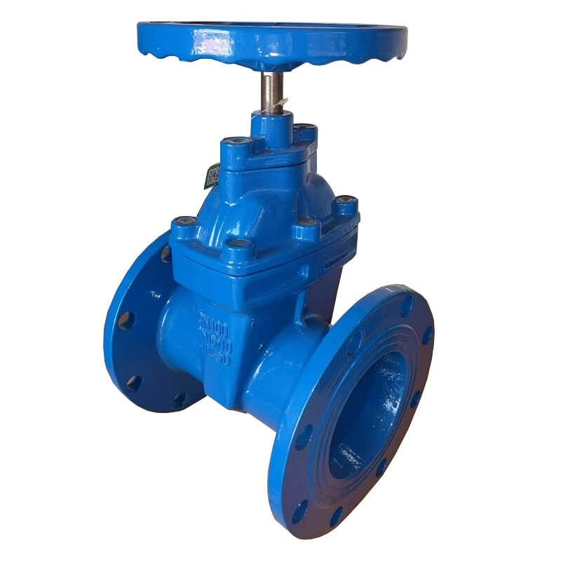 Soft Sealed Flange Valve Sewage Supply Water Fire Tap Water Valve DN100 Z45X-16Q Dark Rod Valve ...