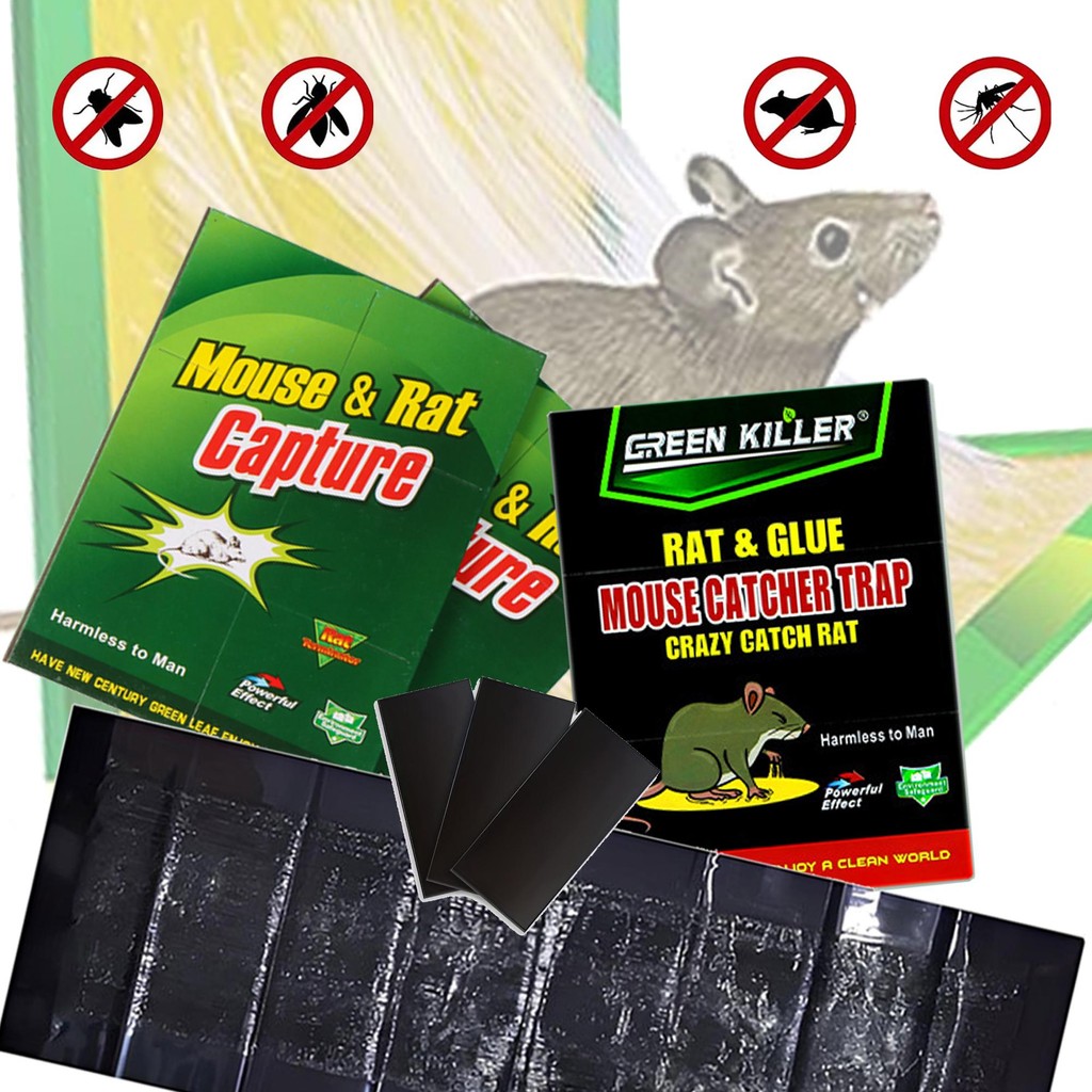 Mouse Glue Traps Rat Eliminator Mouse Rat Trap | Shopee Malaysia