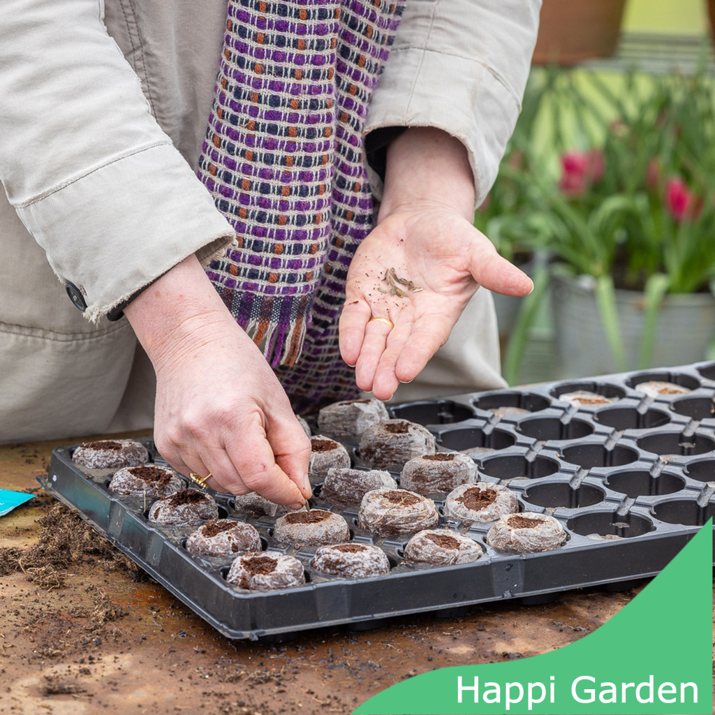 Quality Growing 30mm Jiffy Peat Pellets Seed Starting Plugs Pallet ...