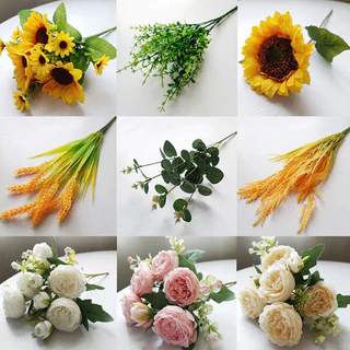 Buy beras sunflower Online With Best Price, Jul 2024 | Shopee Malaysia