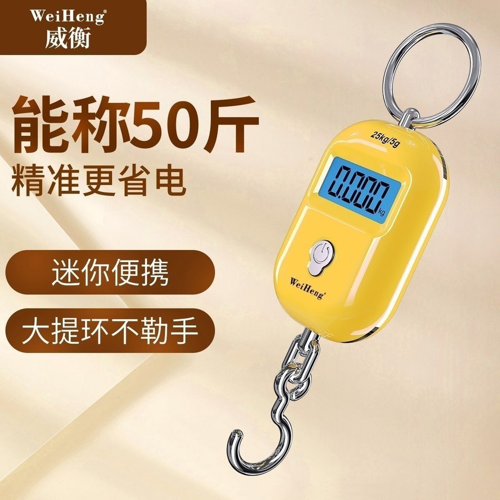 Weiheng Micro Mini Small Electronic Scale Portable Scale Hanging Scale ...