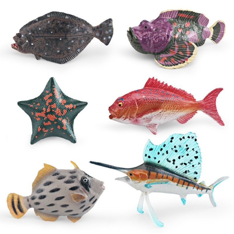 Simulation Ocean Animal Model Stone Fish Starfish Halibut Sailfish ...