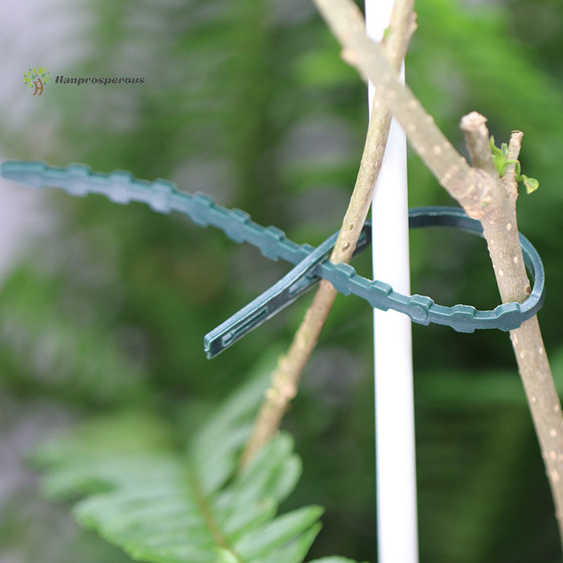 Hanprosperous> 50Pcs Garden Cable Ties Plant Support Shrubs Fastener ...