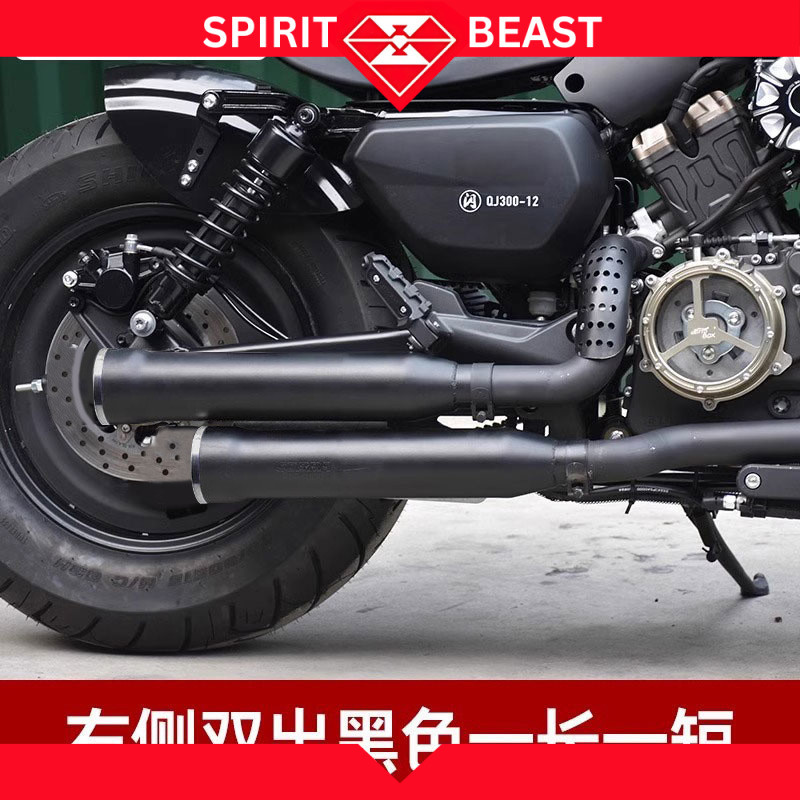 QJmotor SRV250 Modified Double Outlet King Cobra Exhaust Pipe ...