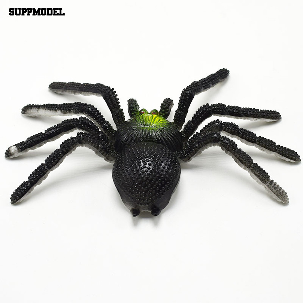 SM* Tricky Toy Realistic Soft PVC Spider Action Model Insect Toy Figure ...
