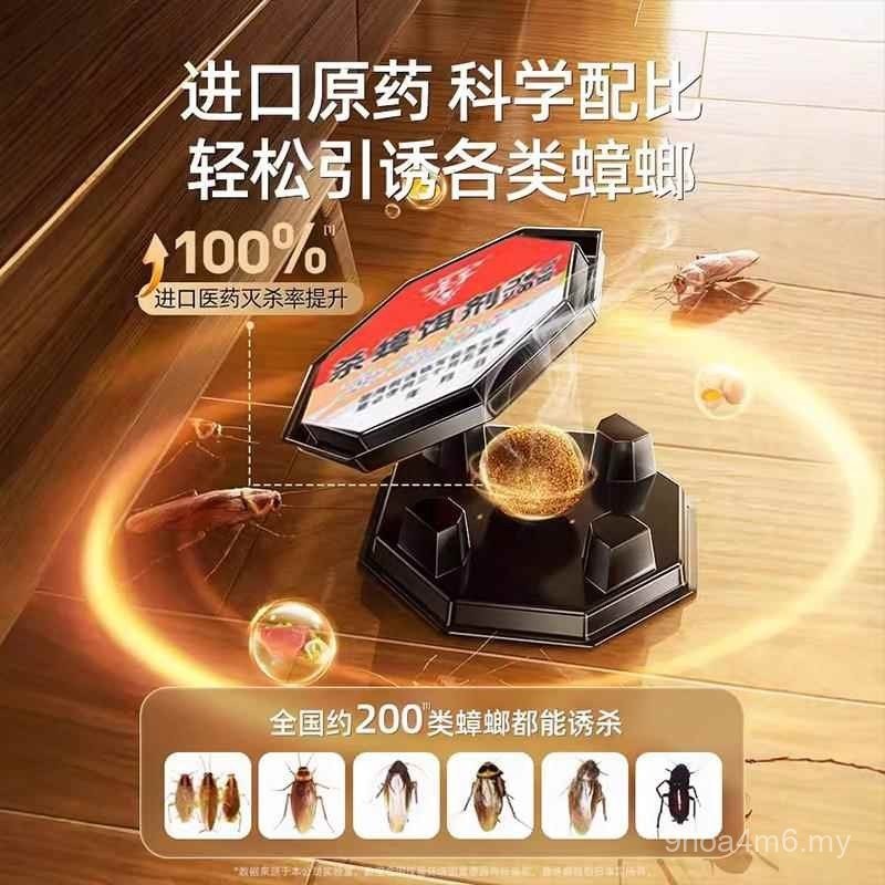 Ubat lipas Jepun untuk kegunaan rumah, umpan gam kuat, Xiaoqiang ...