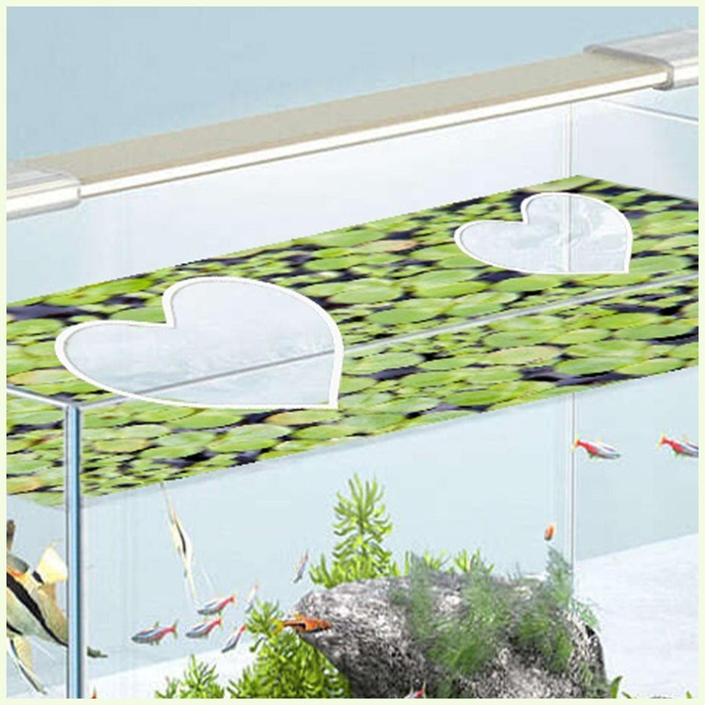Aquarium Feeding Ring Heart Shape Aquarium Floating Ring 5pcs Aquarium ...