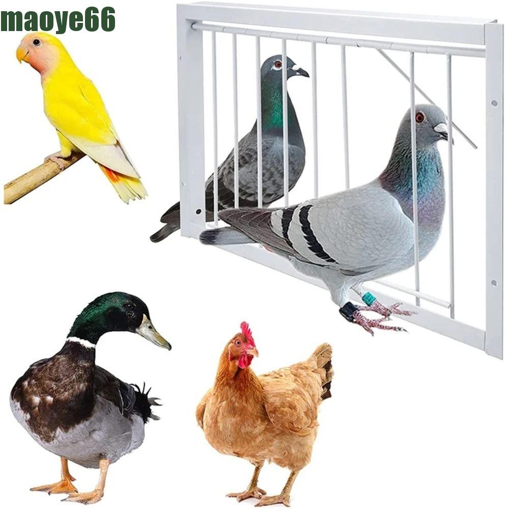 MAOYE Pigeon Entrance Door, Trapping Removable Pigeon Loft Door, Bird ...