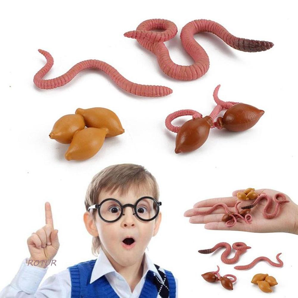 ROTUR Realistic Life Cycle Collect Kids Gifts Earthworm King Crab ...