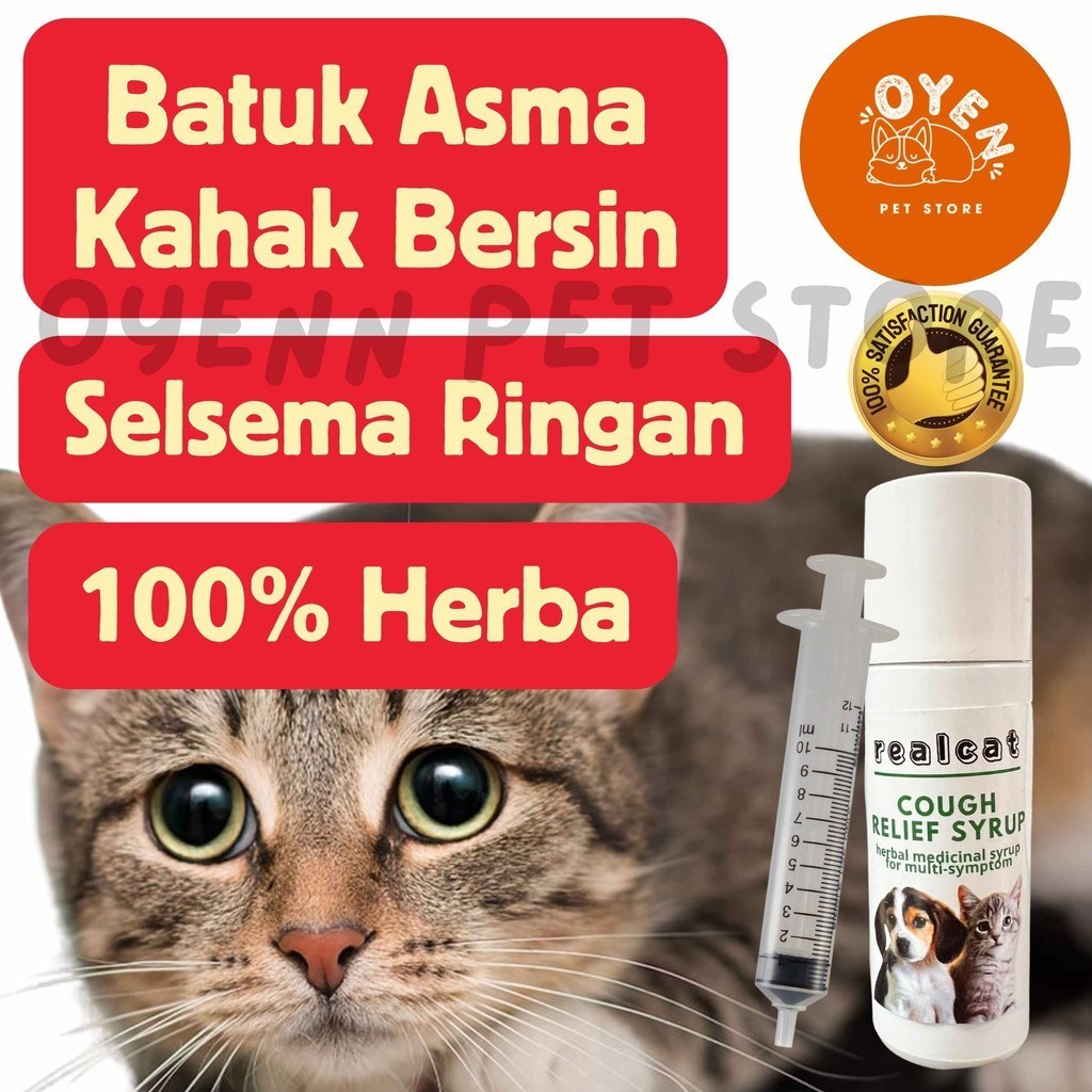OYENN Ubat Batuk Kucing Selsema Kahak Jangkitan Paru-Paru Asma Kucing ...