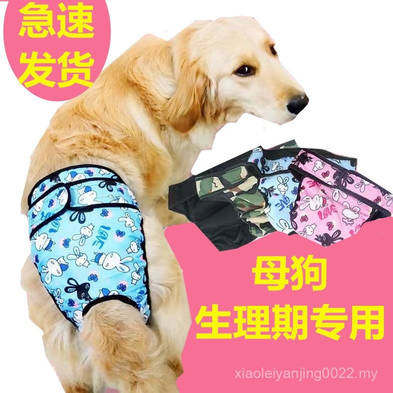 Pet Mother Dog Physical Pants Female Dog Menstrual Period Underwear ...