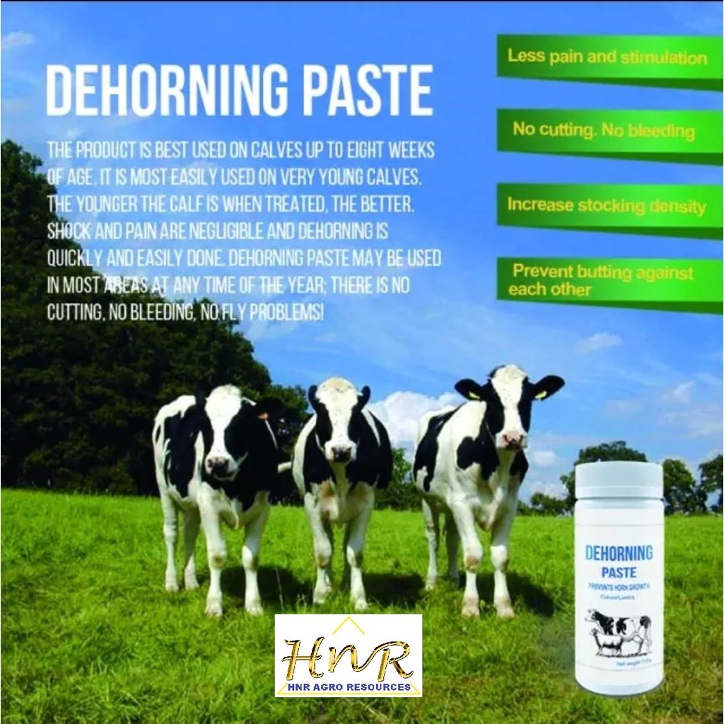 Dehorning paste elak tanduk dari naik sesuai untuk lembu dan kambing 110gm/btl #dehorningpaste ...