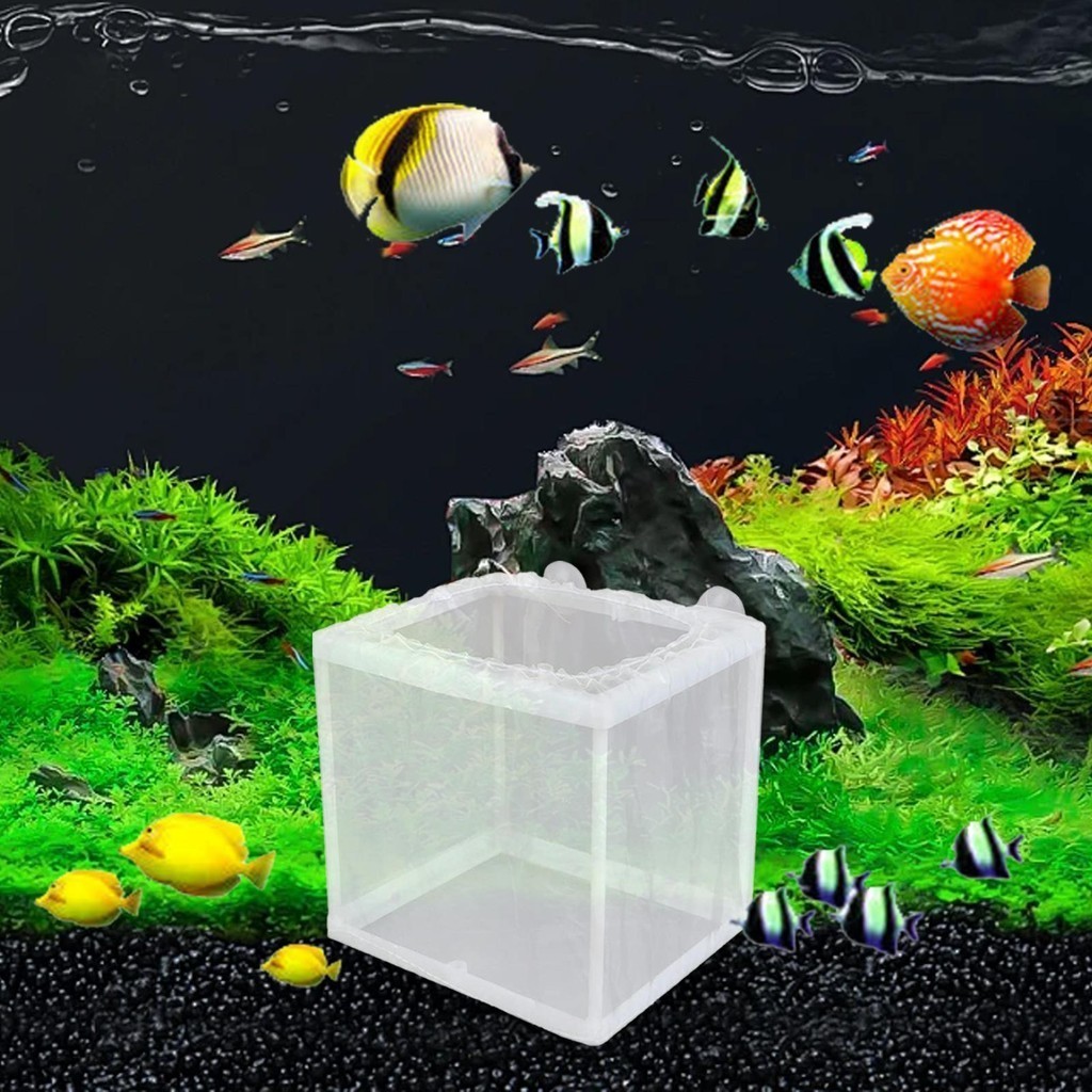 Aquarium Breeding Box Fish Incubator Mesh Box Juvenile Fish Separation ...