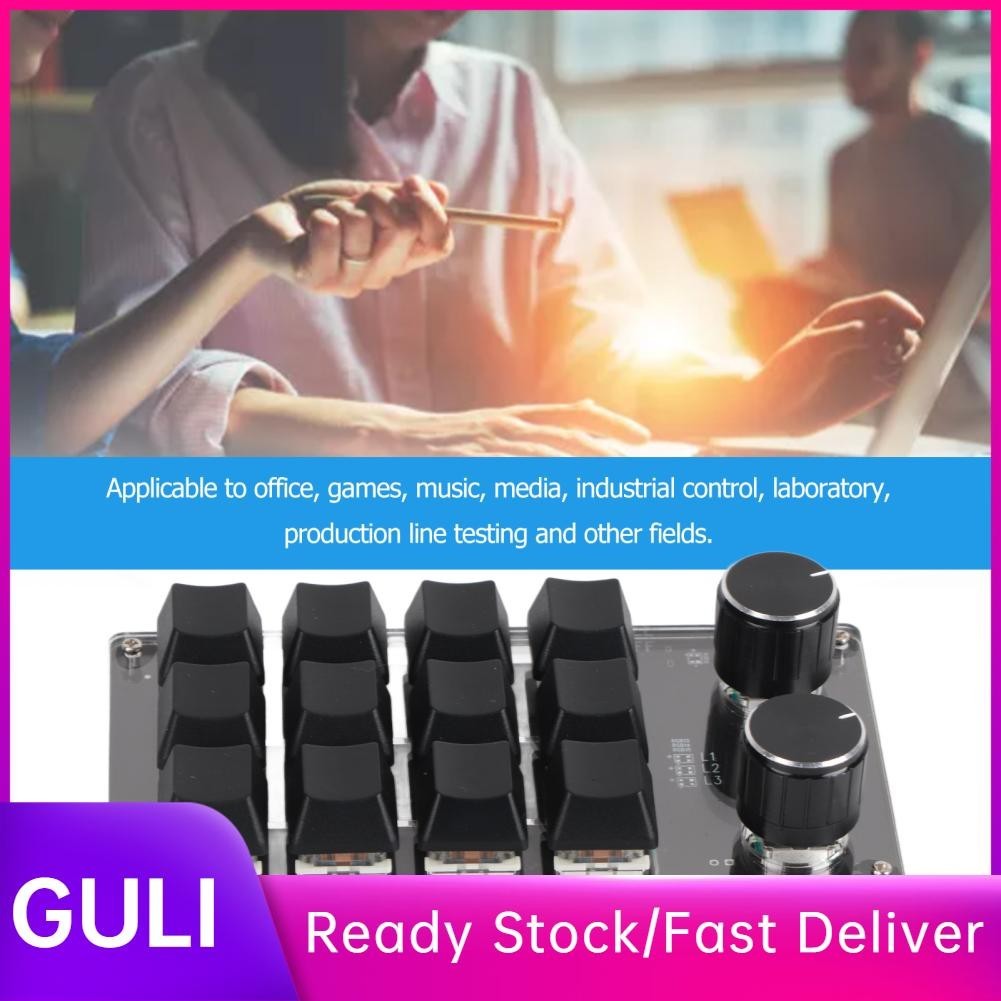 Guli Programmable Macro Keyboard 12 Keys Mini Portable Blue Switch DIY ...