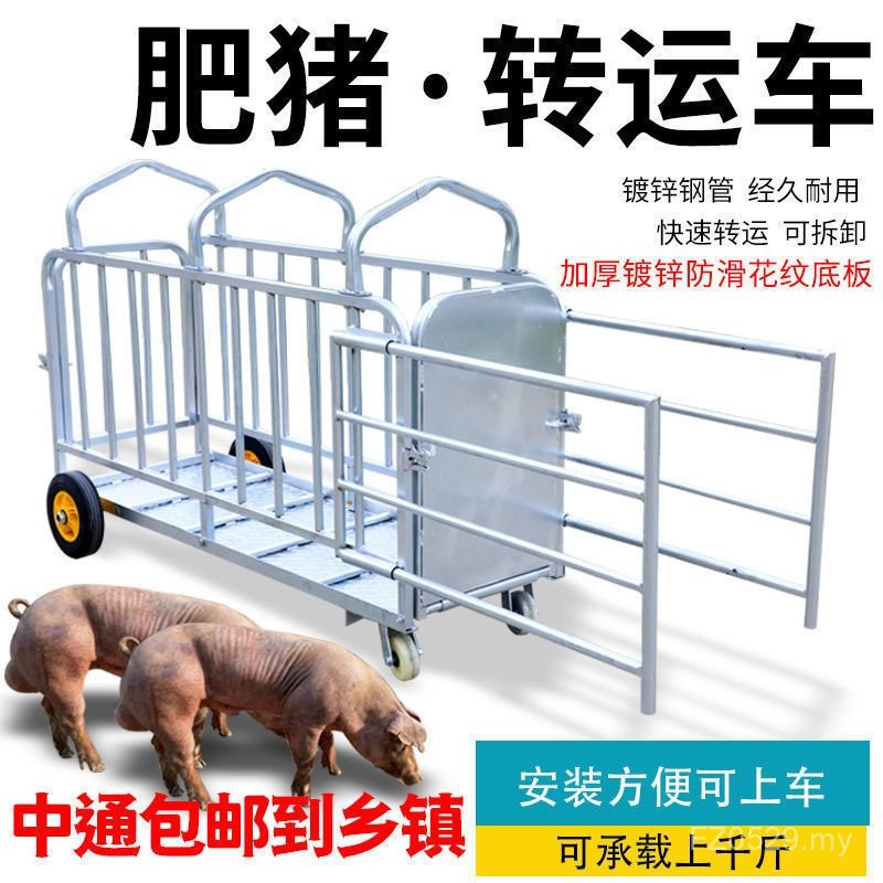 Pig Farm Reloading Pig Cage Scale Bicycle Pig Catching Private Pig ...