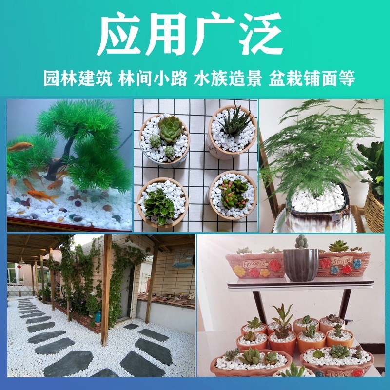 Shanxi 40 Jin Kerikil Putih Kecil, Telur Angsa, Batu Bunga Hujan ...