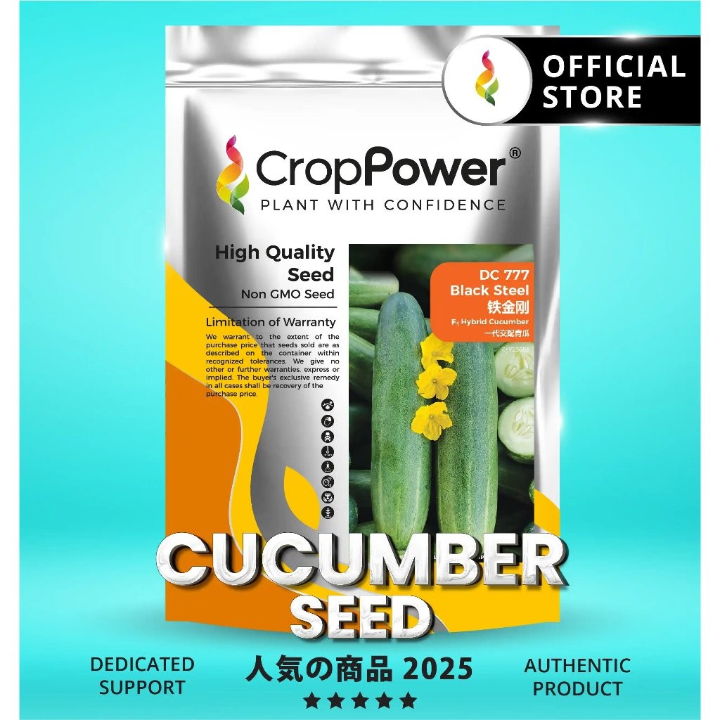 (100 GRAM) Biji Benih Timun Black Steel 铁金刚 DC777 CROP POWER F1 Hybrid ...