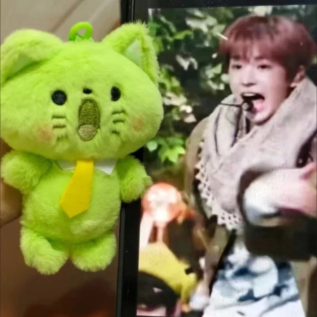 Kpop Idol NCT WISH Yushi Plush Keyring Green Cat Doll Stuffed Toys ...