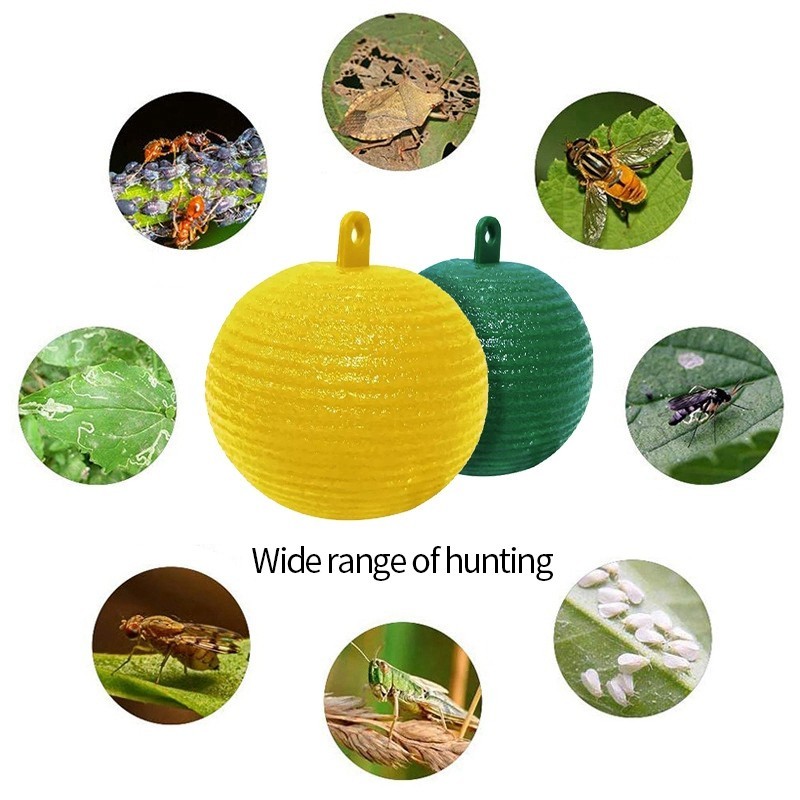 Hanging Fly Trap Glue Ball Insect Fruit Fly Bugs Killer for Fruit Fly ...