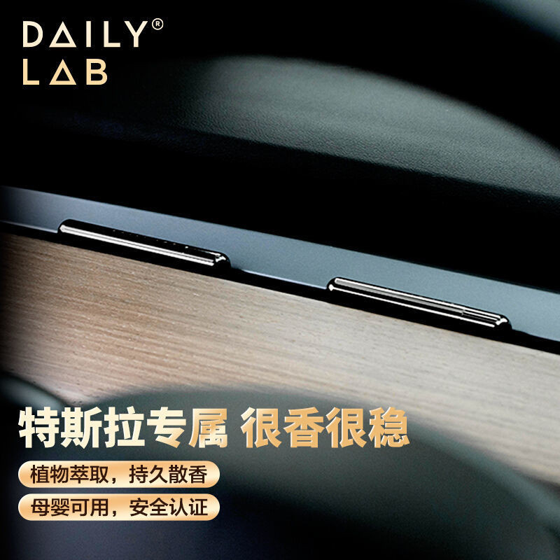 Daily LAB Small Gold Bar Car Aromatherapy Tesla Perfume model3/y Car ...