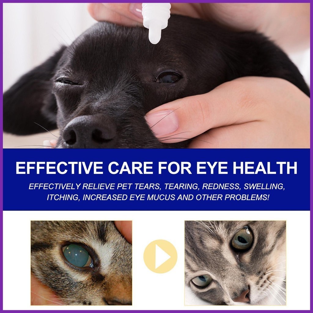 Dog and Cat Eye Wash 50ml Eye Drops for Dogs and Cats Eye Rinse Dog Eye ...
