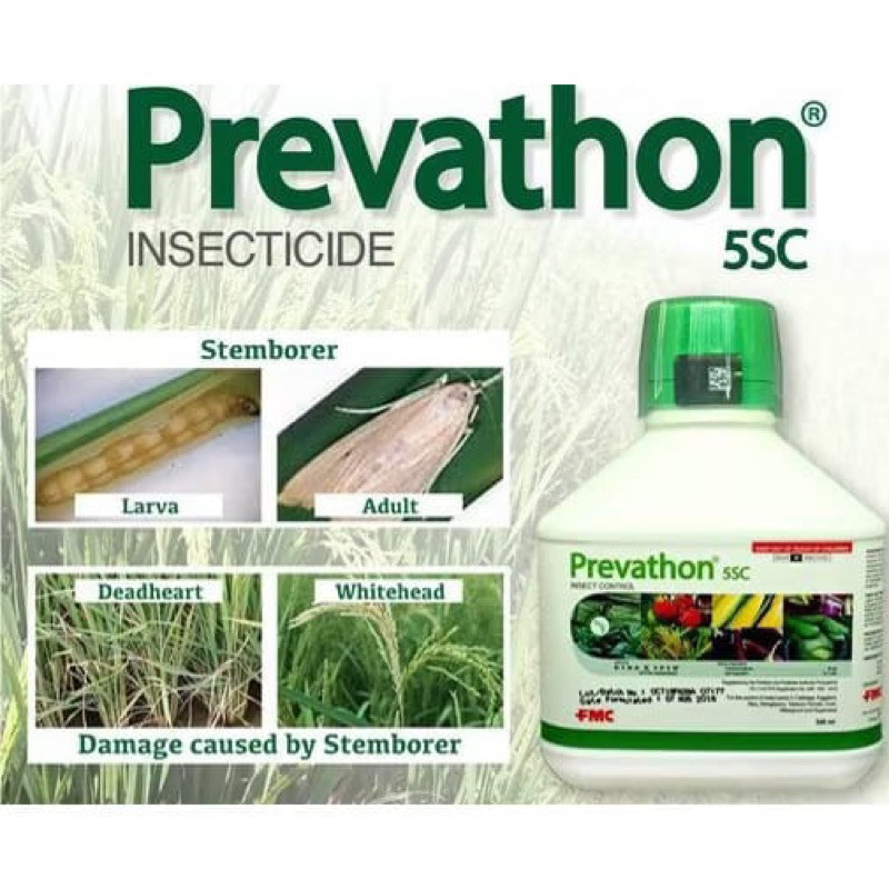 [ORIGINAL] 250ML 500ML Prevathon 5SC SC FMC Racun Serangga/Sab/Racun ...