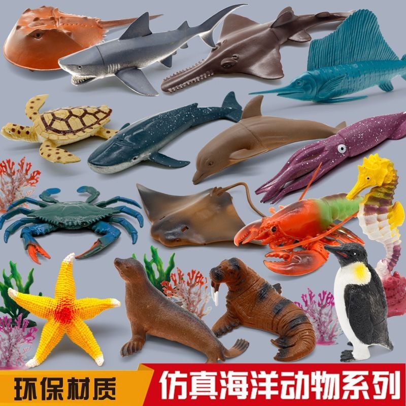 Children Simulation Undersea Sea Animals Insects Biological Model ...