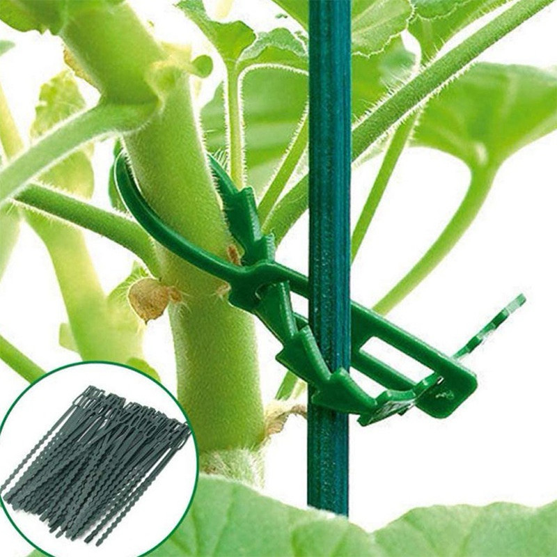 Gardening horticulture30/50pcs Fishbone Tie | Green Plastic Gardening ...