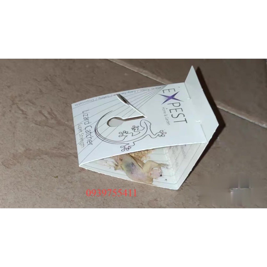 3 Lizard Catcher Stickers Lizard Glue Fly Trap Glue Bird's Nest Gecko ...