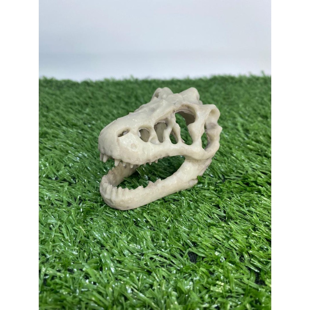 T rex Dinosaur terrarium decor Skeleton skull head reptile tank ...