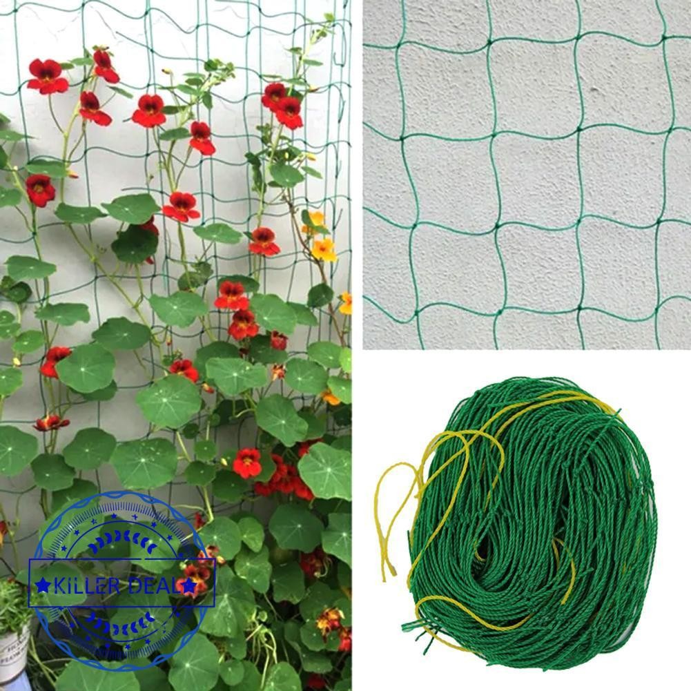 Garden Plant Climbing Net Cucumber Vegetables Trellis Mesh Green Net ...