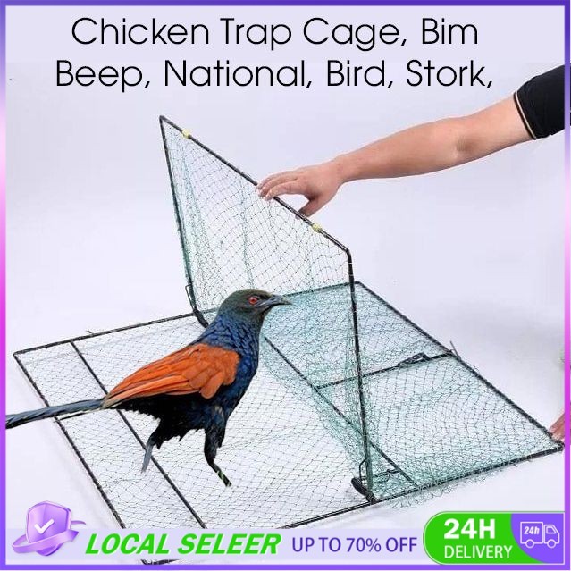 Perangkap burung sangkar ayam jaring burung Hunting Net Wildlife Traps ...