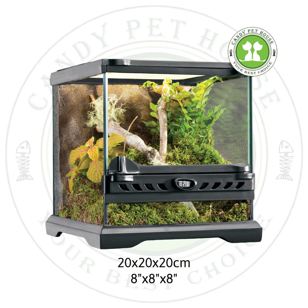Exo Terra / Exoterra Natural Terrarium Nano WIDE Advanced Glass Reptile ...