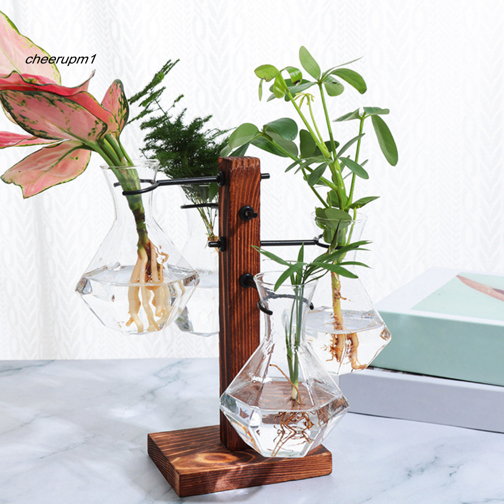 CHEER Plants Propagation Station Borosilicate Glass Vase Indoor Plant ...